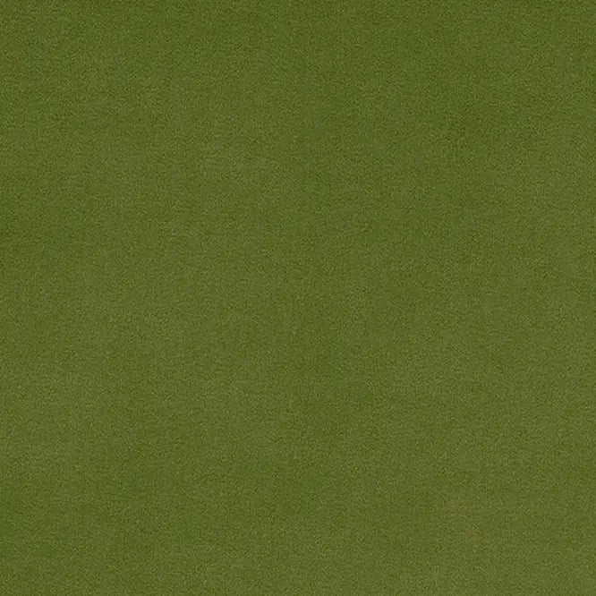 Cactus Solid Cuddle 3 | Lindas Shopify