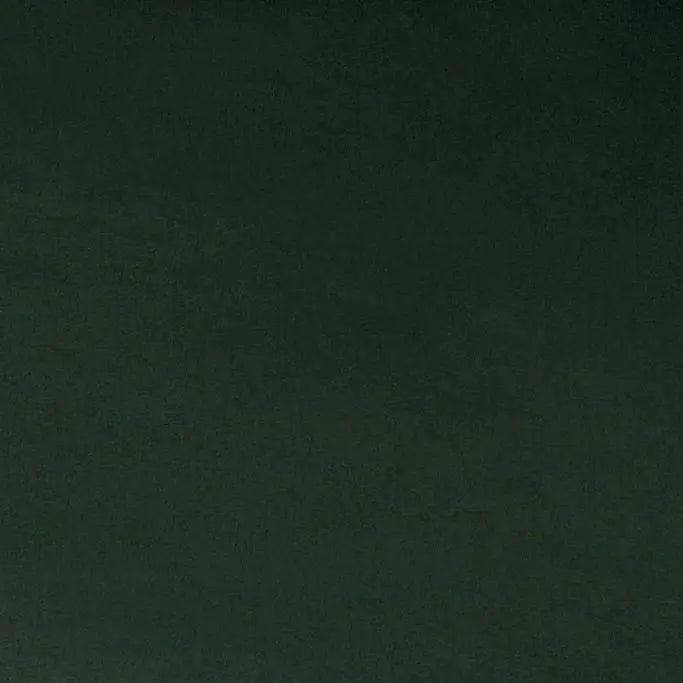 Spruce Solid Cuddle 3 | Lindas Shopify