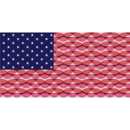 Patriotic Pop Flag - Panel - Linda's Electric Quilters