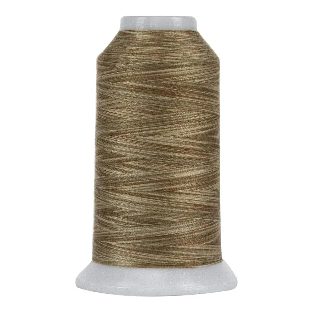 9062 Pebble Beach Omni Variegated Polyester Thread - Linda's Electric